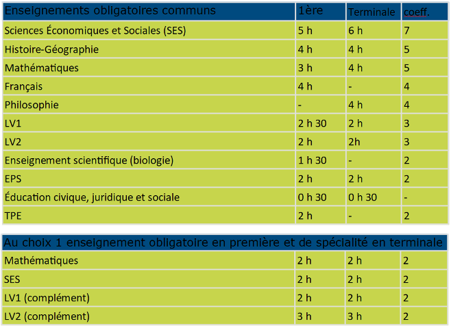 Tpe Coefficient Bac Es : Bac S Es L L Epreuve Anticipee Des Tpe A La Loupe Bac 2021 Le Parisien ...
